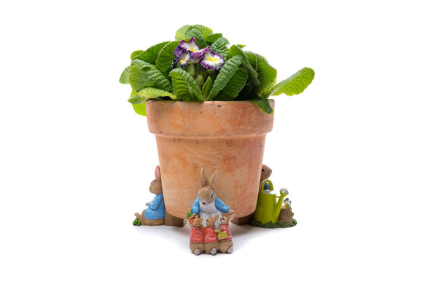 Peter Rabbit Plant Pot Feet - Set of Three - Annabel James