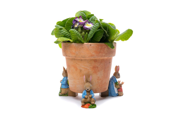 Peter Rabbit Plant Pot Feet - Set of Three - Annabel James