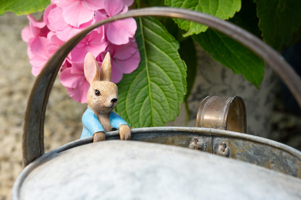 Beatrix Pottery Peter Rabbit Climbing Pot Buddy - Annabel James