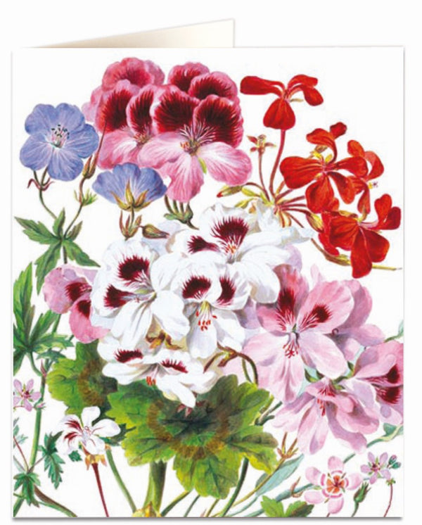 Natural History Museum Geranium Card - Annabel James